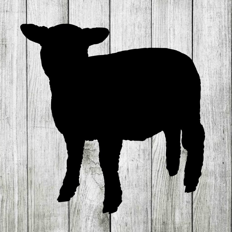 Baby Sheep Svg - Etsy