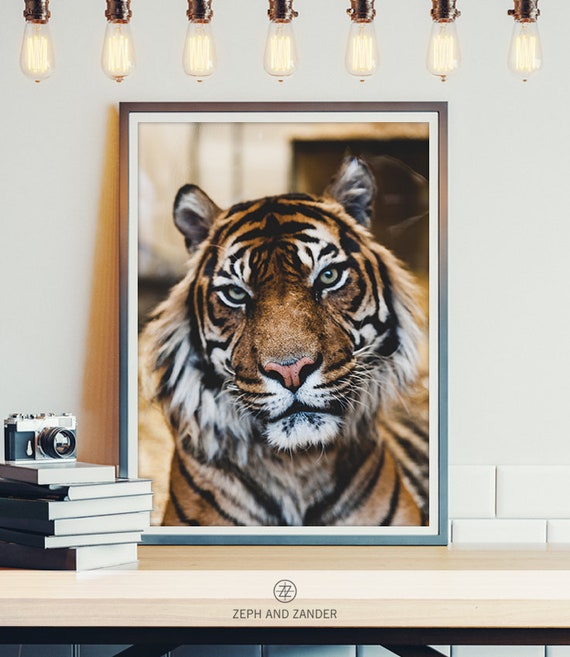 WILDLIFE PRINT 003 Tiger Print Zoo Wild Animal - Etsy