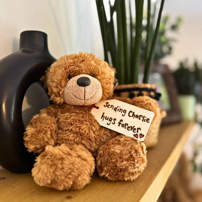 Send a Friend Stuffed Animal - Etsy