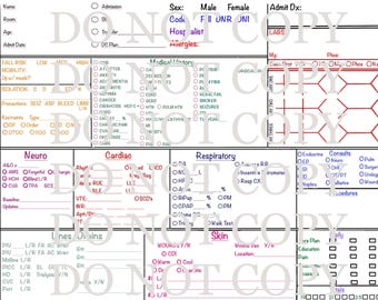 Nurse Days Report Sheet--sbar for 1 Patient, Pdf, SDU, PCU, Medsurg - Etsy
