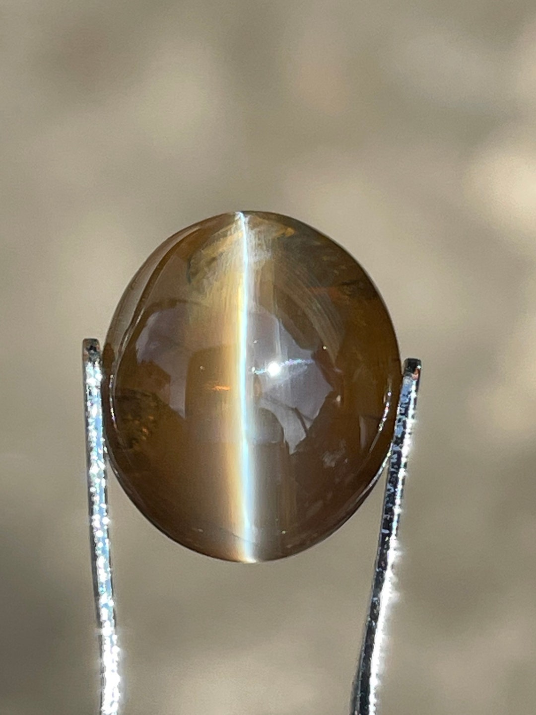 6.09CT Cat's Eye Chrysoberylnatural Unheated ID-SS001440 - Etsy