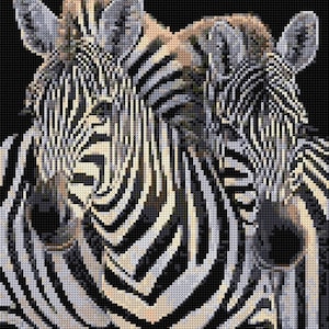 Zebra's Cross Stitch Pattern PDF Pattern Digital Download Counted Cross ...