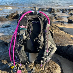 Pink Dive Flag Shark Personalized & Customizable Scuba Diver - Etsy