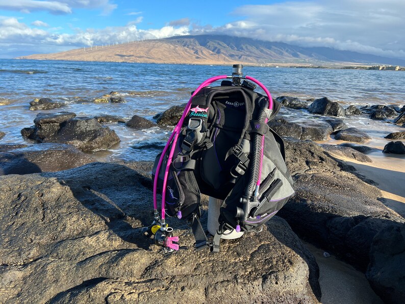 Pink Dive Flag Shark Personalized & Customizable Scuba Diver - Etsy