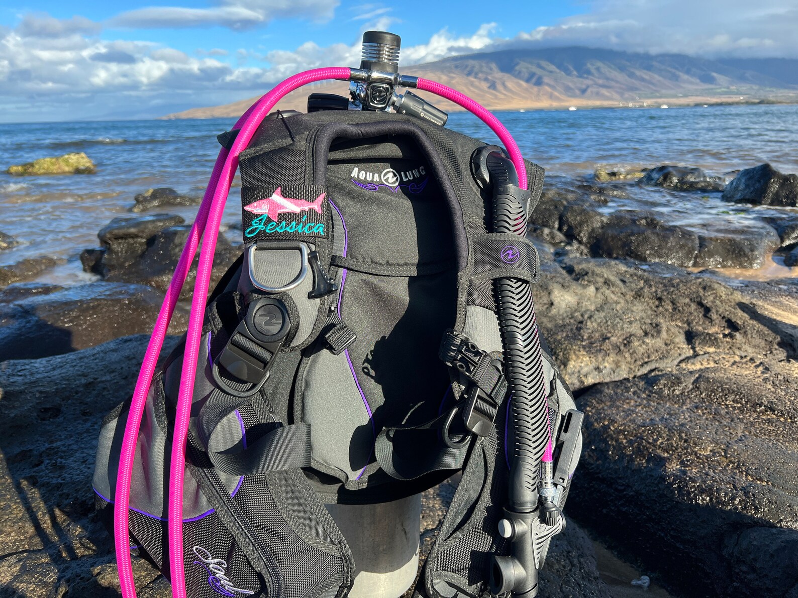 Pink Dive Flag Shark Personalized & Customizable Scuba Diver - Etsy