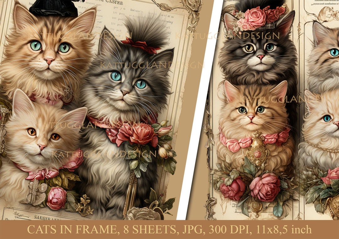 Cats in Frame, Digital Download, Commercial Use, Journal Junk ...
