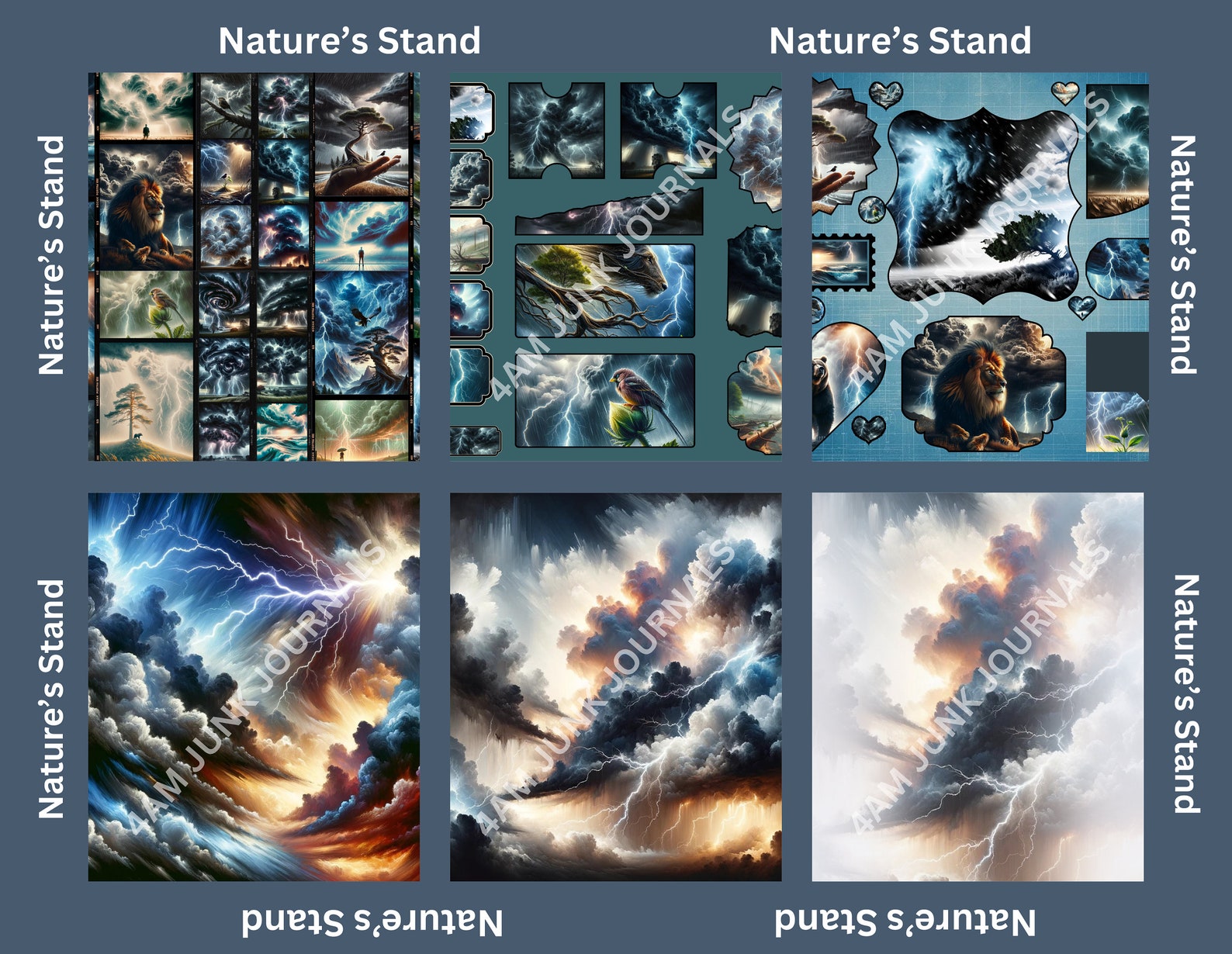 Nature's Stand: Portraits of Storm and Strength an Elemental Saga A 36 ...