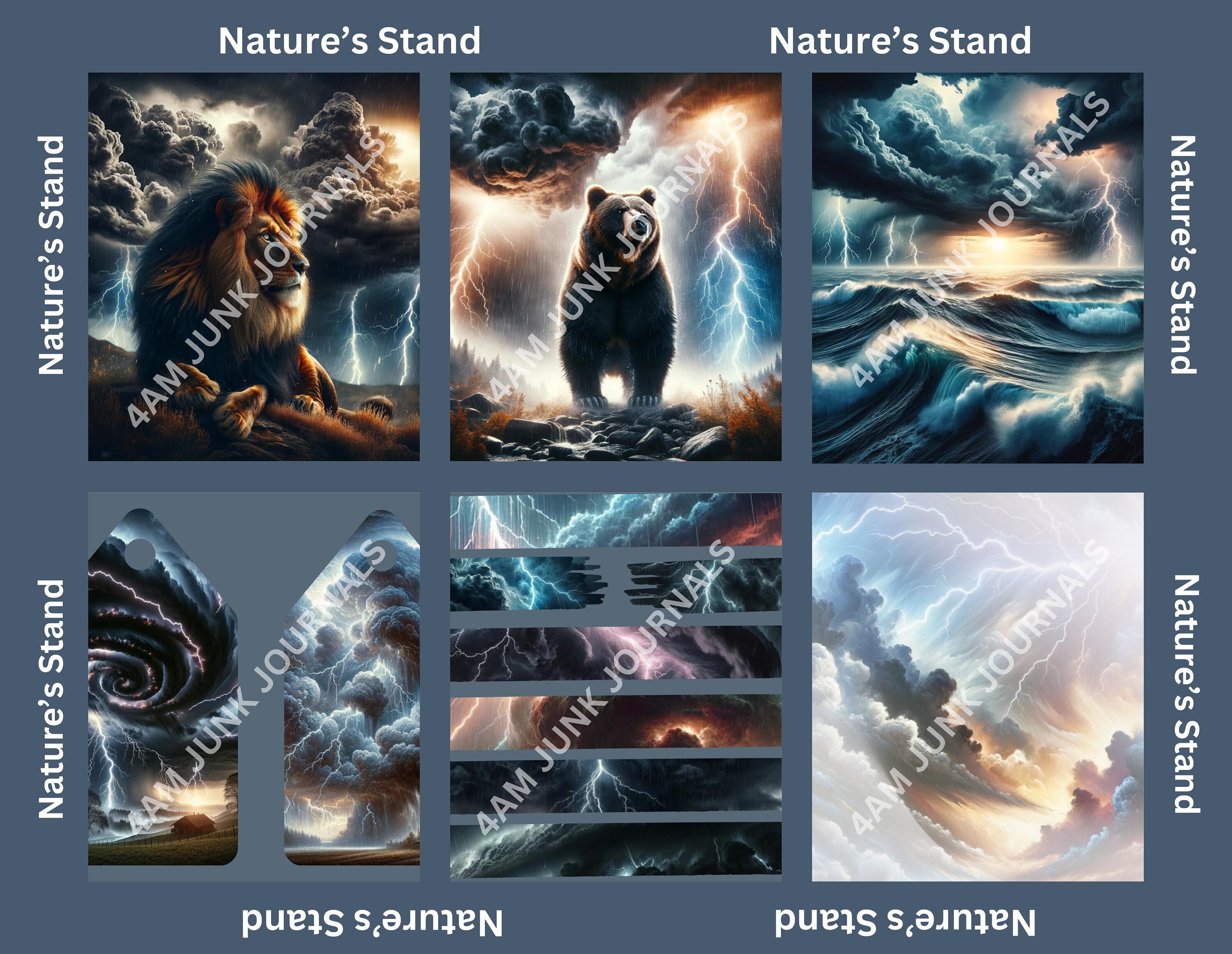 Nature's Stand: Portraits of Storm and Strength an Elemental Saga A 36 ...