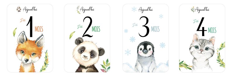 12 Cartes étapes Bébé, thème animaux, qualité haut de gamme pour garder ...
