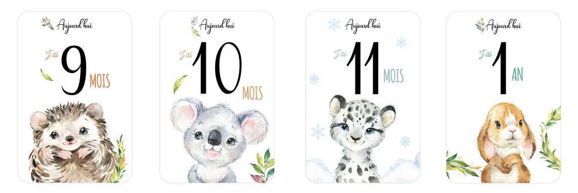 12 Baby Steps Cards, Animal Theme, High-end Quality to Keep a Memory of ...
