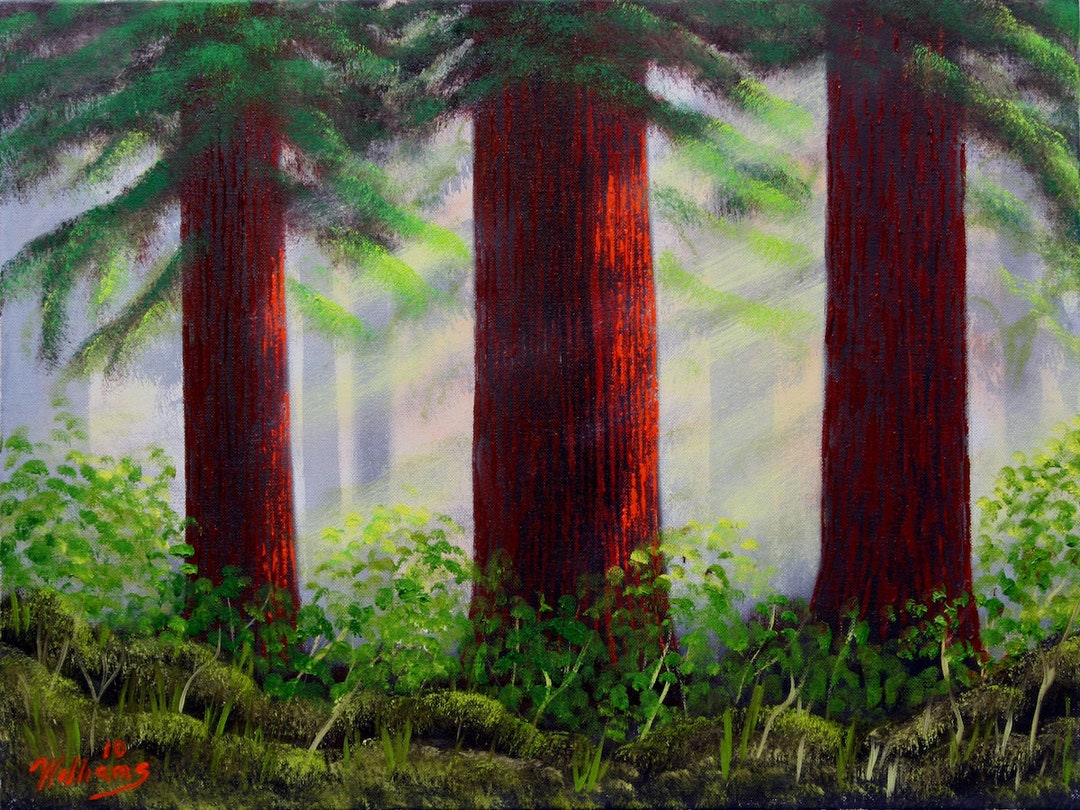 Redwood Tree Art - Redwood Forest Wall Art - Coastal Redwood Wall Art ...