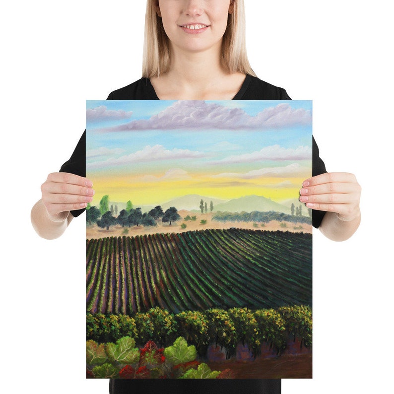 Napa Valley Vineyard - Napa Wall Art - Vineyard Vines - Napa California ...