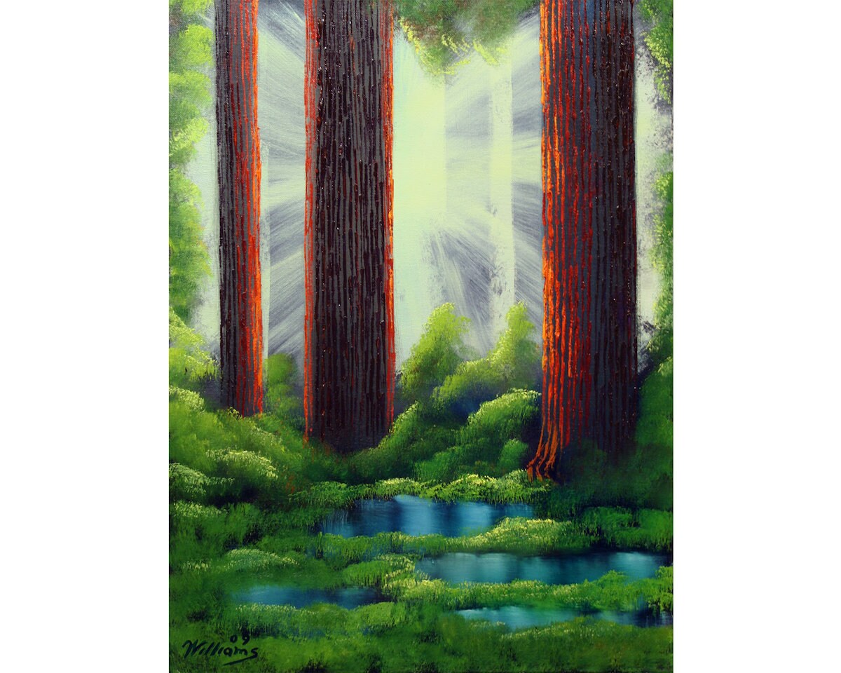 Redwood Wall Art - Redwood Forest Art - Coastal Redwood Tree Grove ...