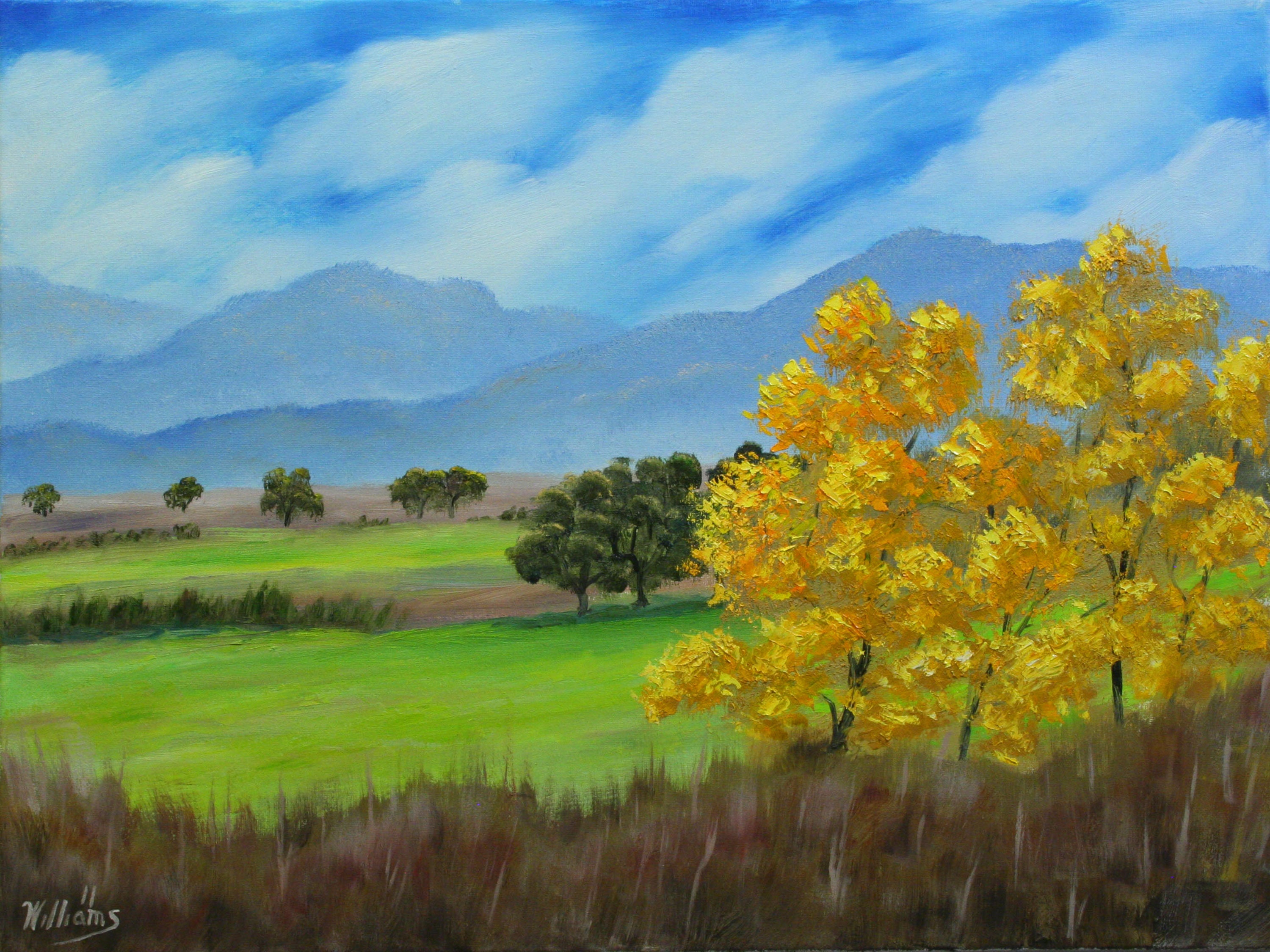 California Cottonwood Trees Wall Art - Lake Trees Art - Golden Autumn ...