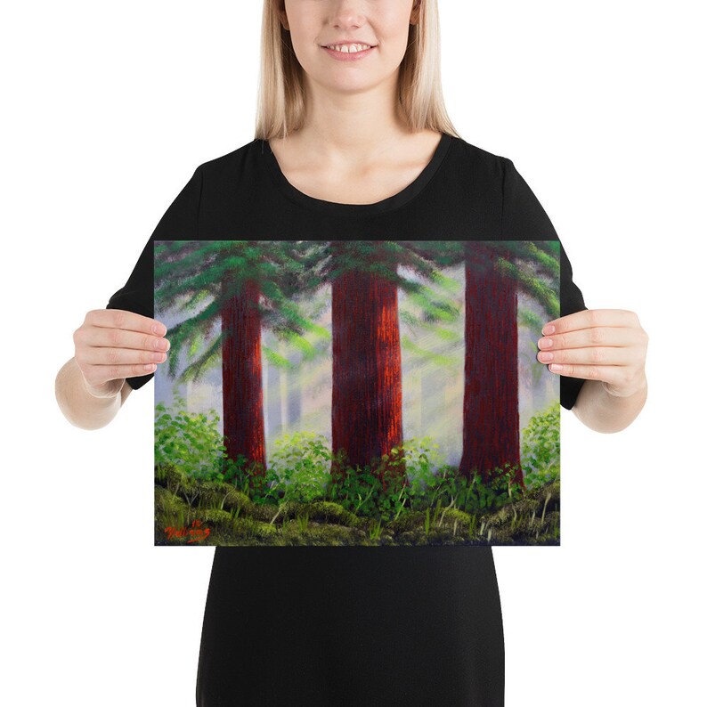 Redwood Tree Art - Redwood Forest Wall Art - Coastal Redwood Wall Art ...
