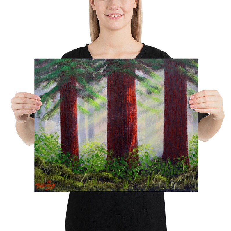 Redwood Tree Art - Redwood Forest Wall Art - Coastal Redwood Wall Art ...