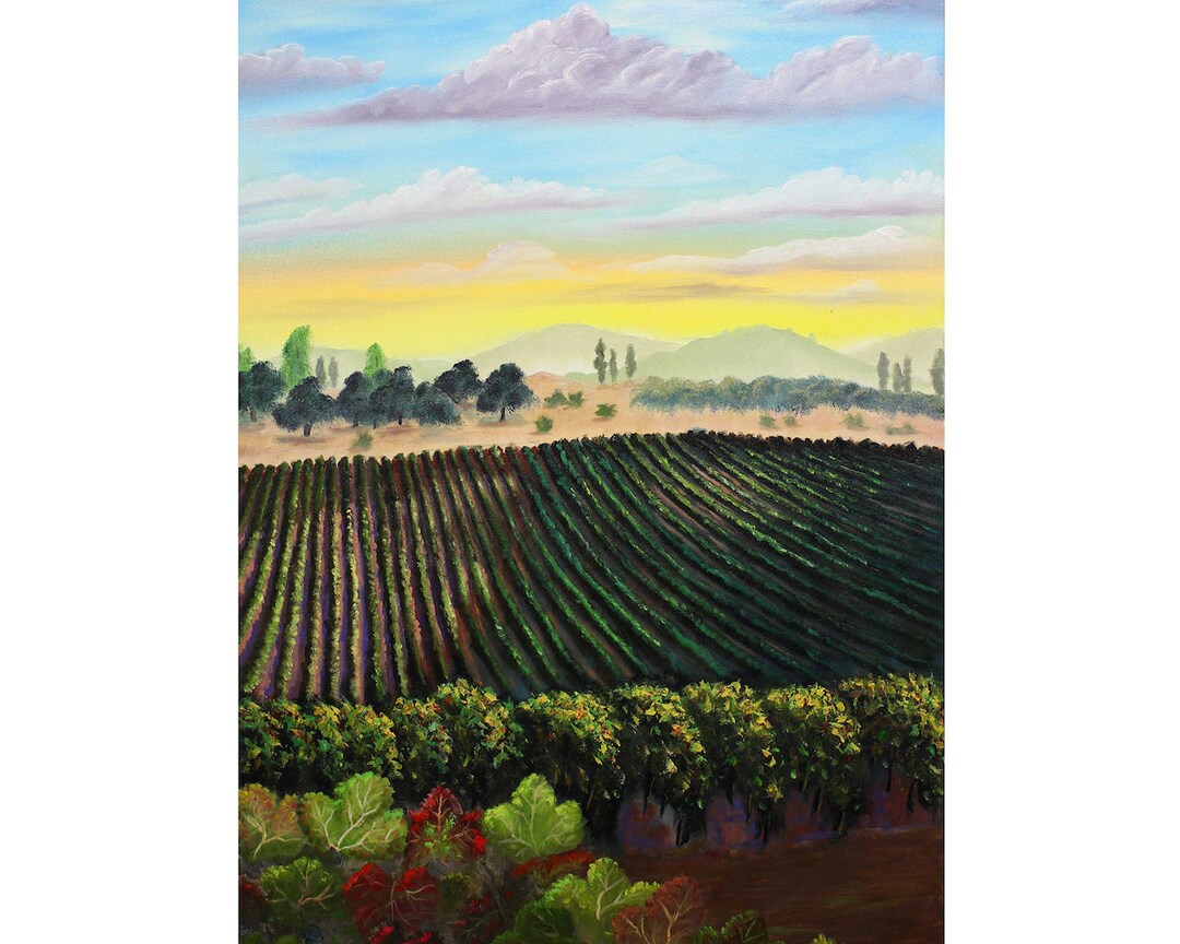 Napa Valley Vineyard - Napa Wall Art - Vineyard Vines - Napa California ...
