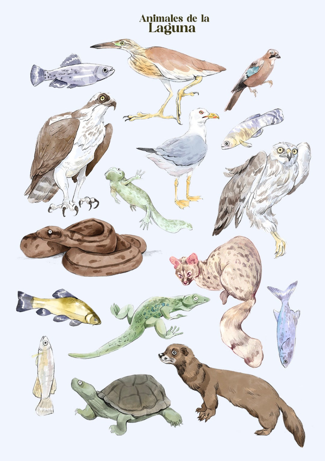 Lagoon Animals Poster - Etsy