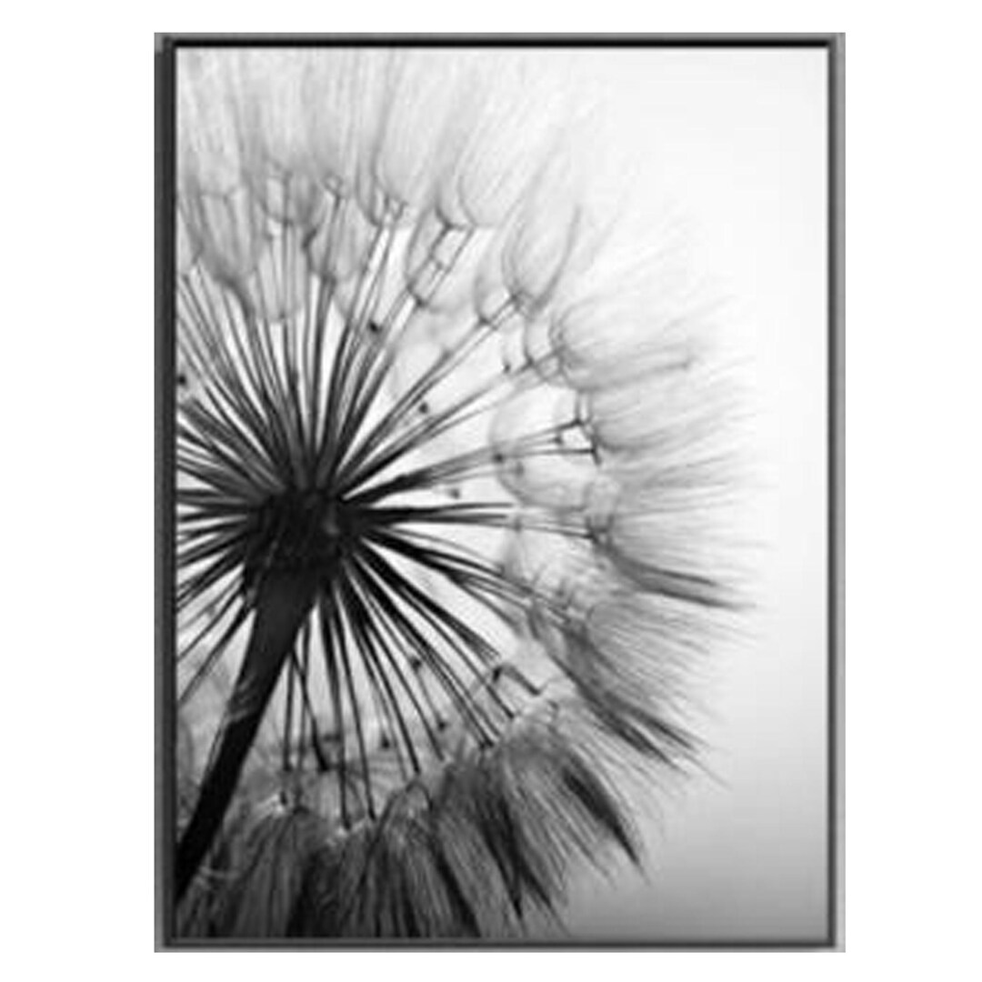 Diy Diamond Painting Dandelion Flower Puzzle 5D Full Drill Mosaic ...