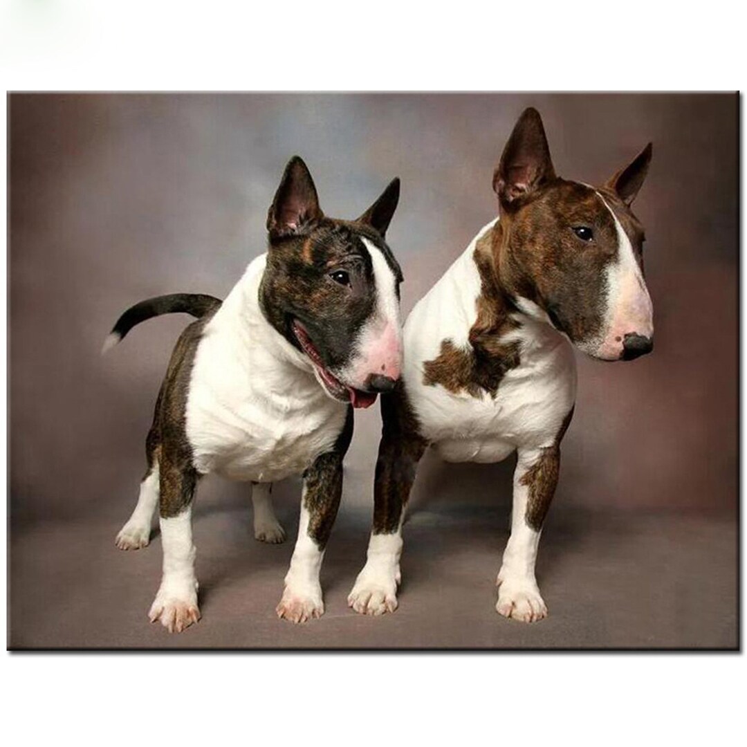 Bull Terrier Dog DIY 5D Full Diamond Painting Animal Pet Cross Stitch ...