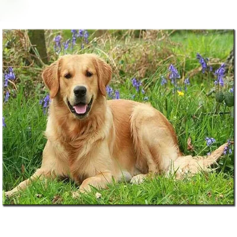 Diamond Dots Art - Etsy