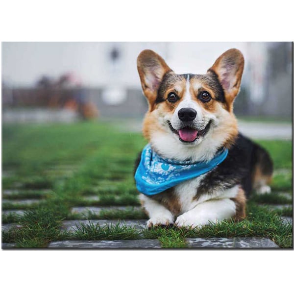 Corgi Birthday Decorations - Etsy