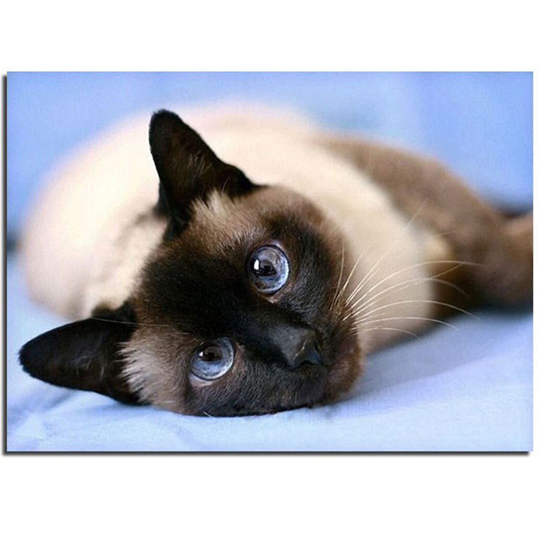 DIY Diamond Painting Cross Stitch 3D Full Round and Square Diamond ...