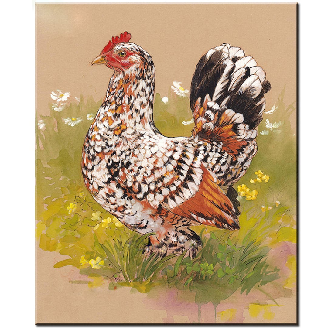 Diy Diamond Painting Chicken Diamond Embroidery Cross-stitch Mosaic ...