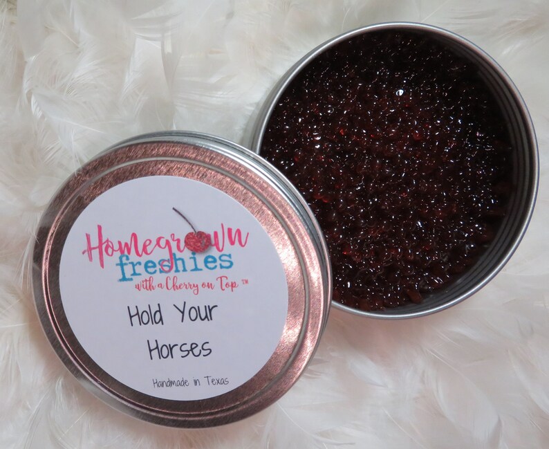 Freshie Tin, Hold Your Horses, Texas Made, Leather, Air Freshener, Car ...