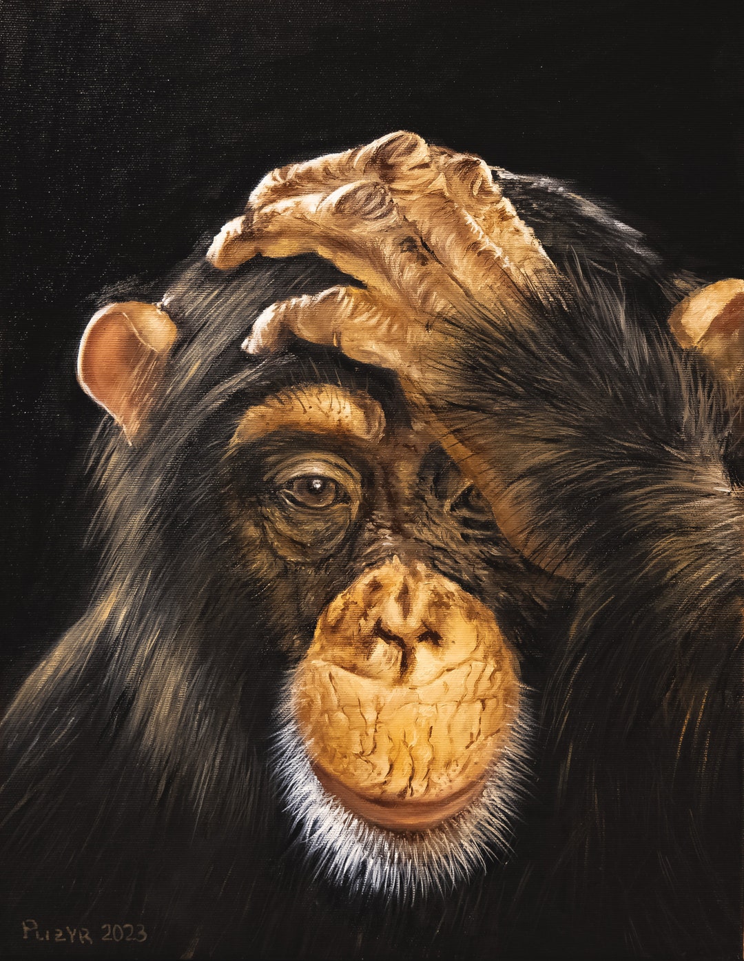 Monkey, Oil Painting, , Animals, Smart Monkey, Animal Look, Wool, What ...