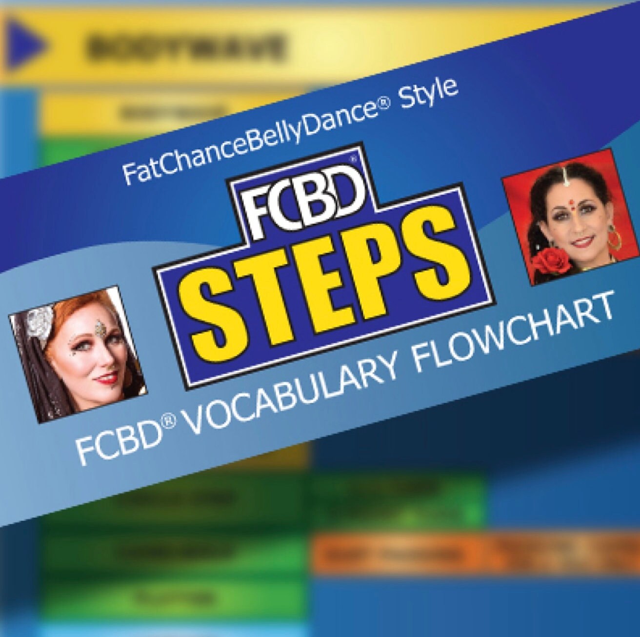 New! Fcbd®style Vocabulary Flow Chart Updated 2023 - Etsy