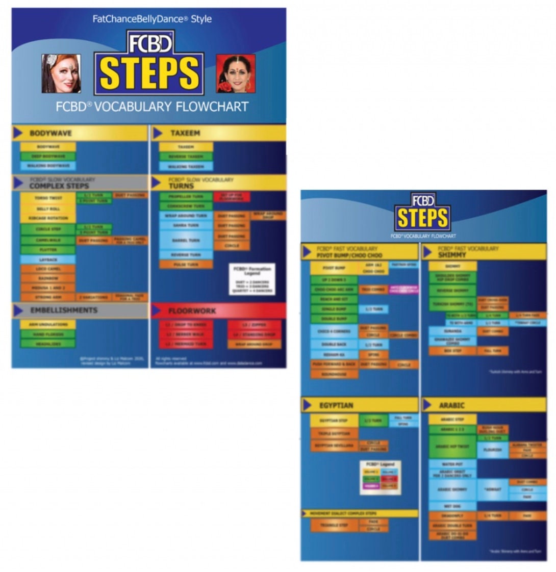 New! Fcbd®style Vocabulary Flow Chart Updated 2023 - Etsy