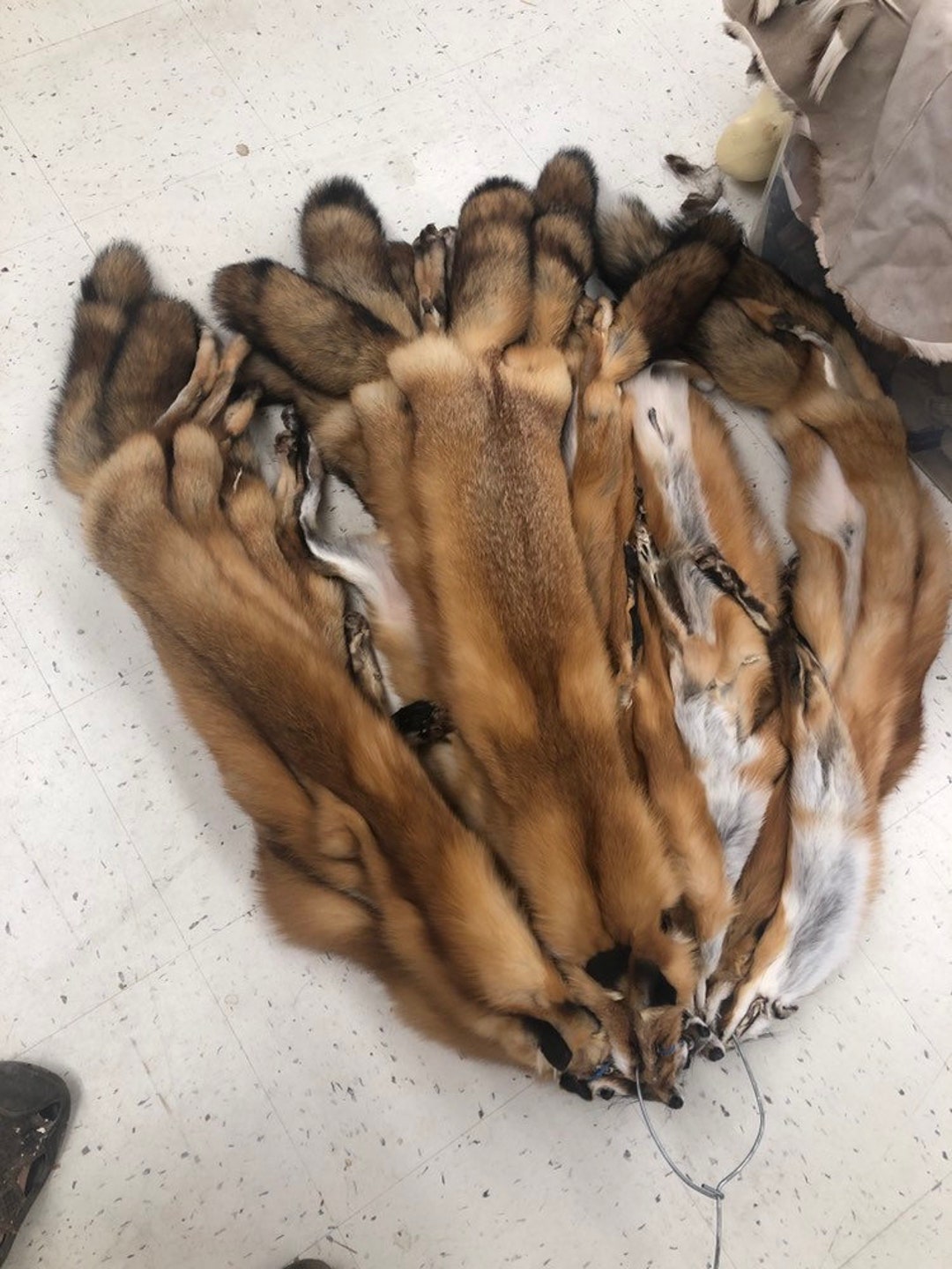 Red Fox Hides - Etsy