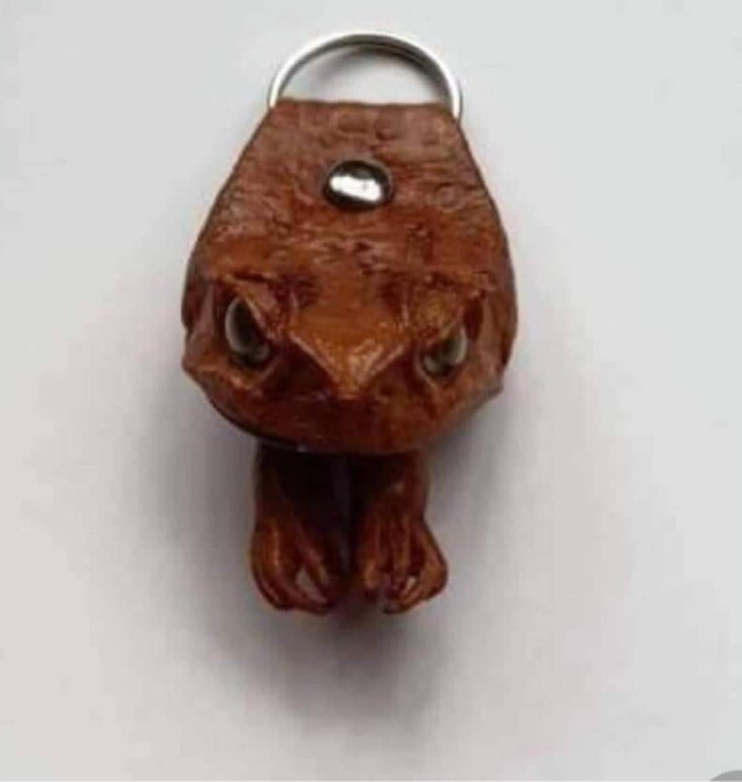 Cane Toad Key Chain - Etsy