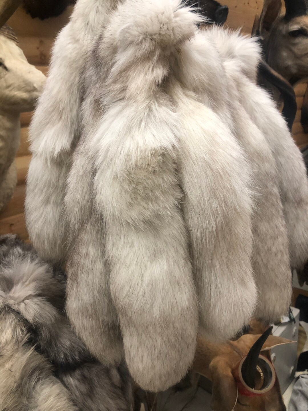 Blue Fox Tails and Silver Fox Tails - Etsy