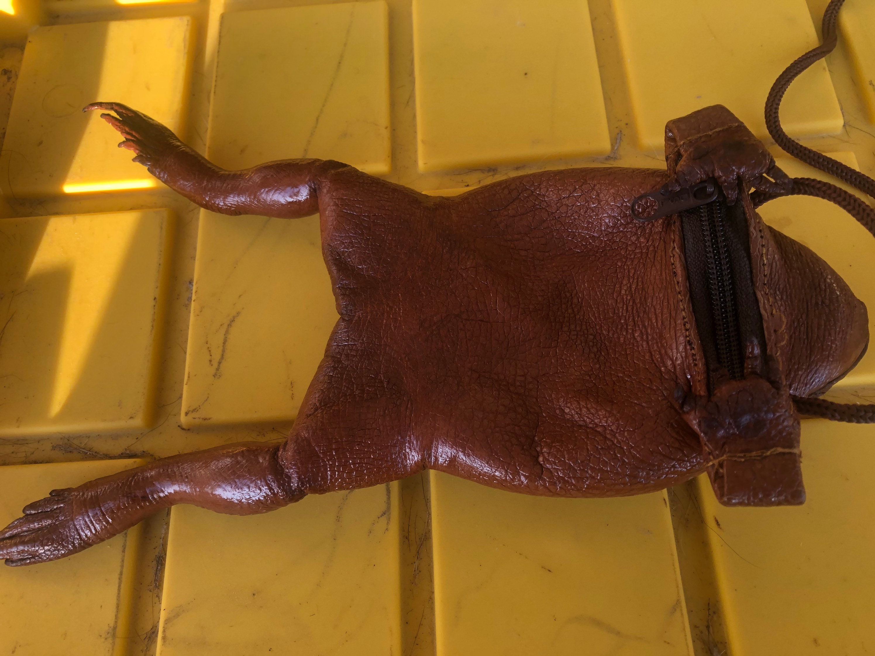 Cane Toad Purse Shoulder Bag - Etsy