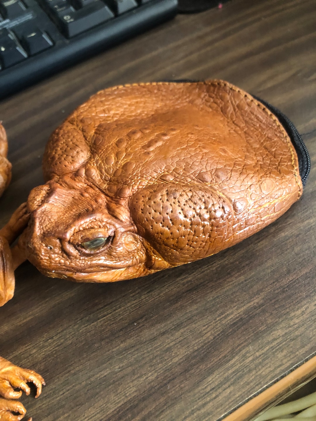 Cane Toad Coin Purse - Etsy