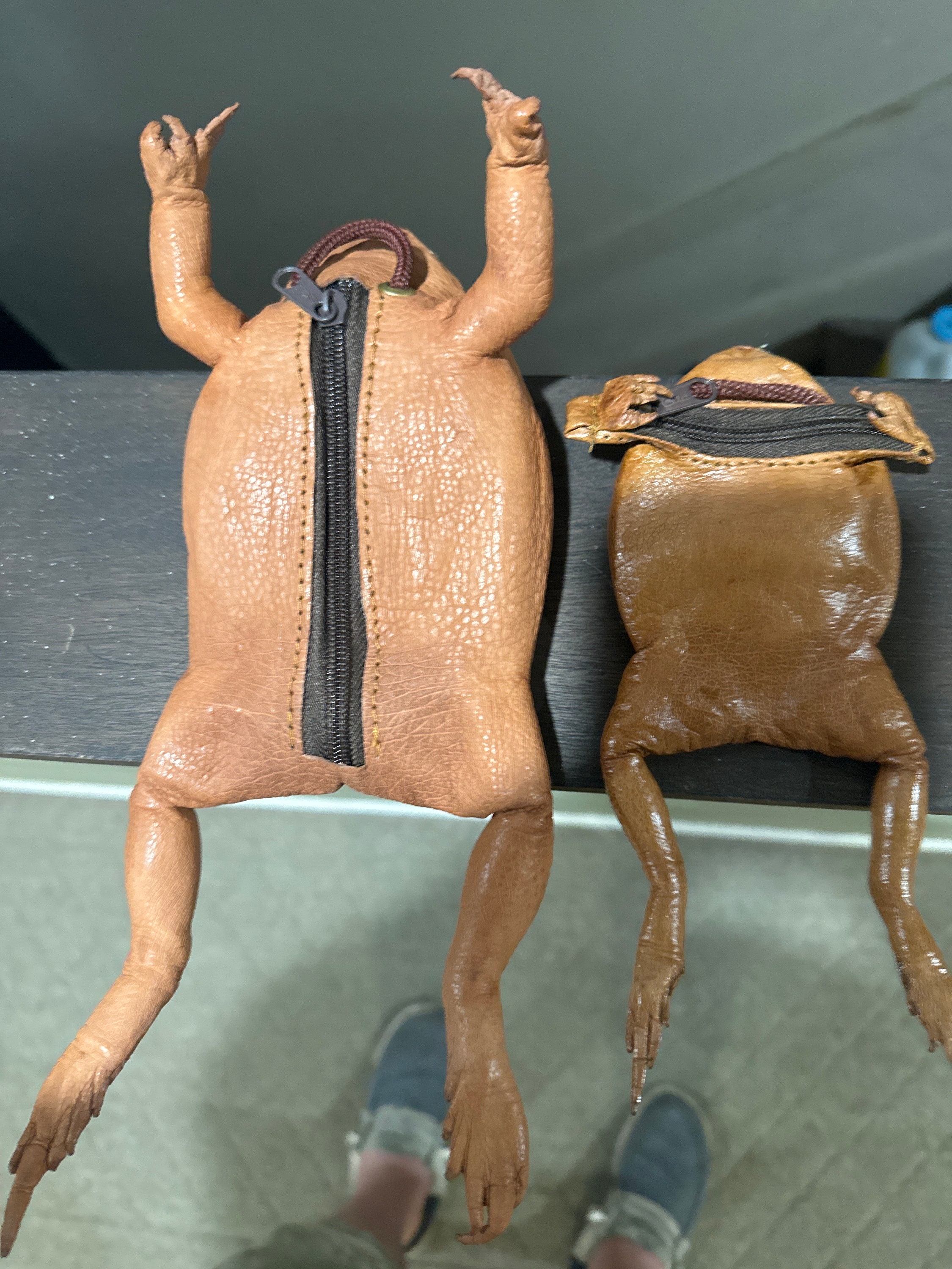 Big Cane Toad Purse Shoulder Bag - Etsy