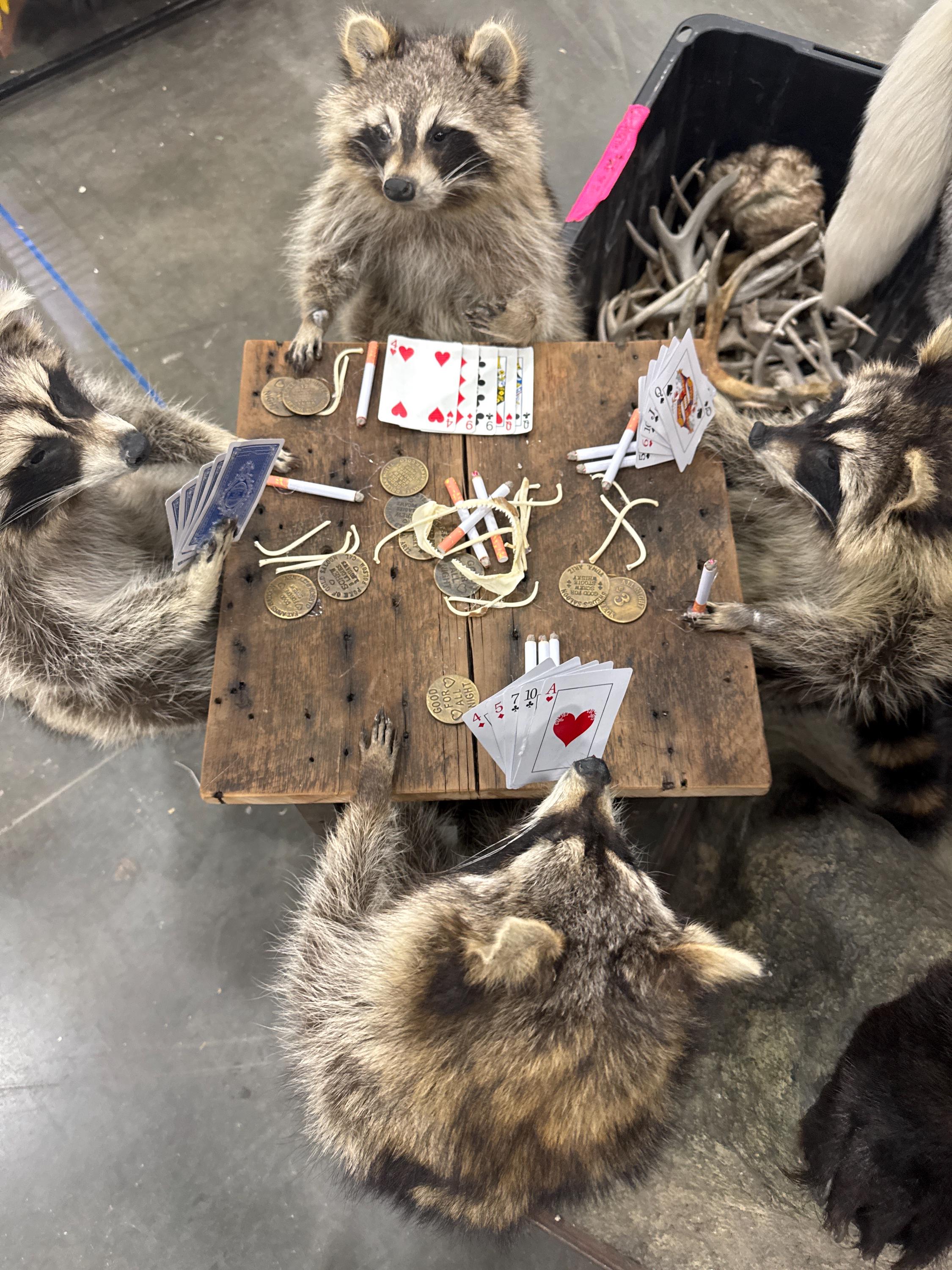 Gang is All Here Poker Playing Raccoons. - Etsy