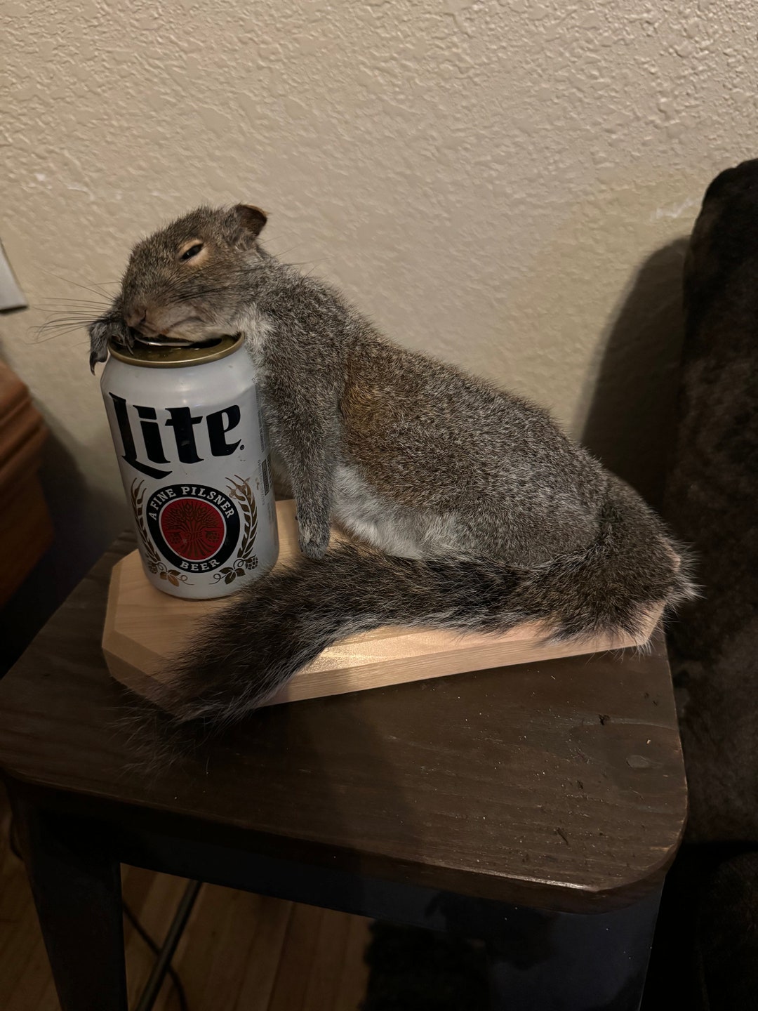 Brand New Drunken Squirrel - Etsy