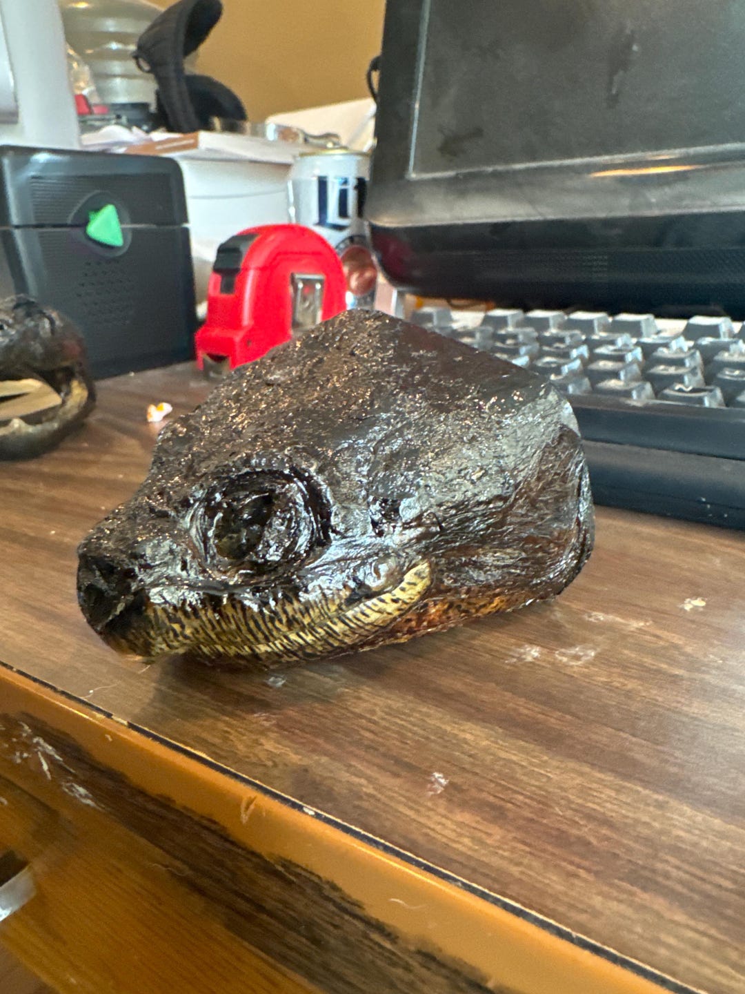 Turtle Head Mount - Etsy