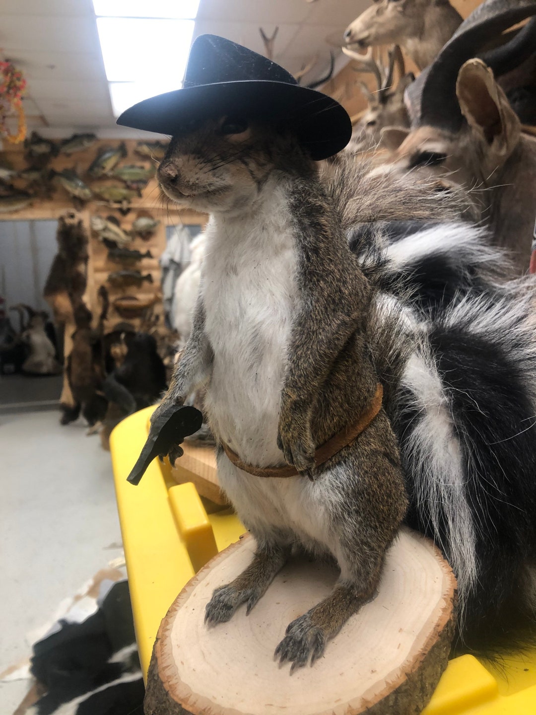 Brand New Cowboy Squirrel - Etsy
