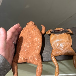 Big Cane Toad Purse Shoulder Bag - Etsy