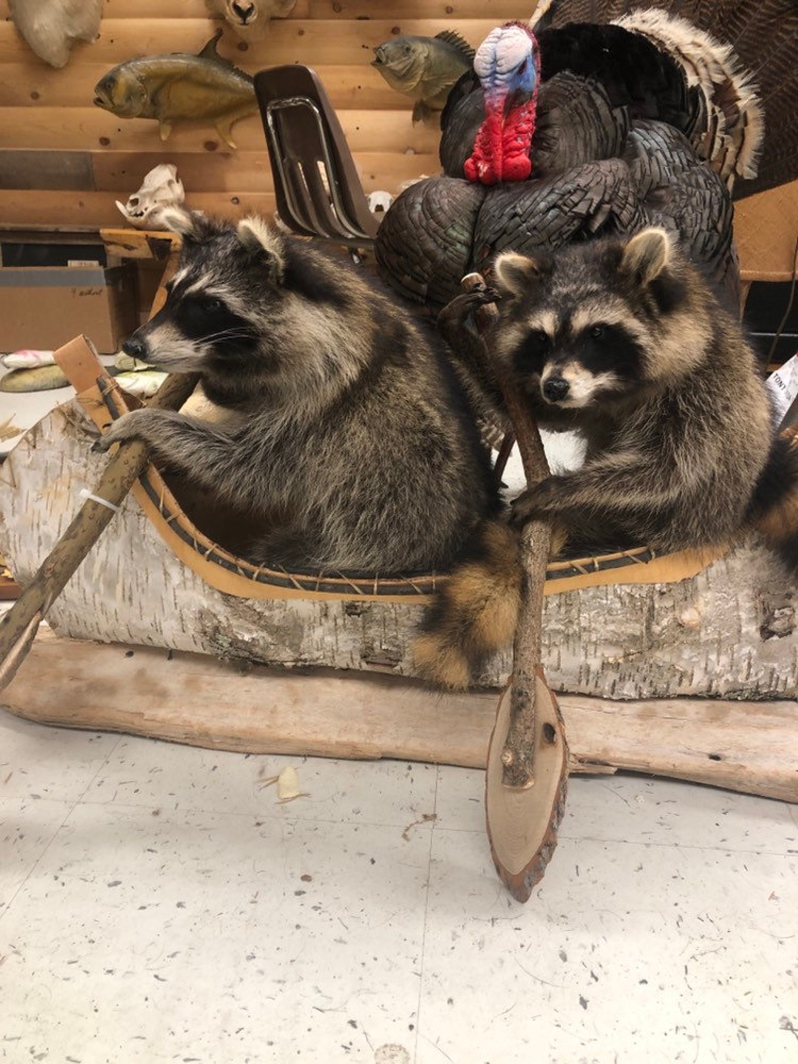 Canoeing Raccoons - Etsy