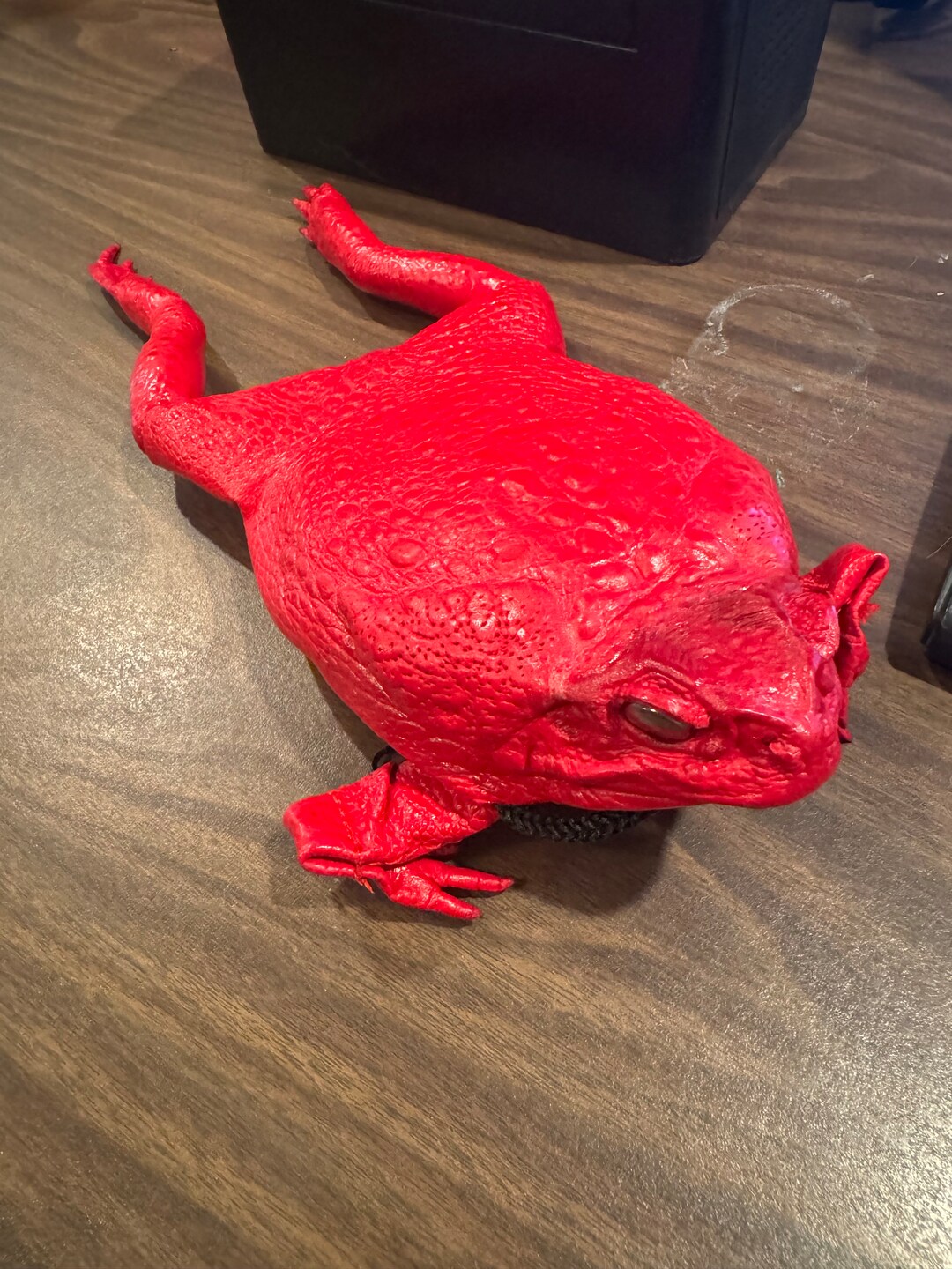Cane Toad in Now in Red Purse - Etsy