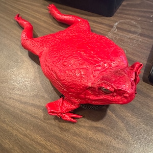 Cane Toad in Now in Red Purse - Etsy