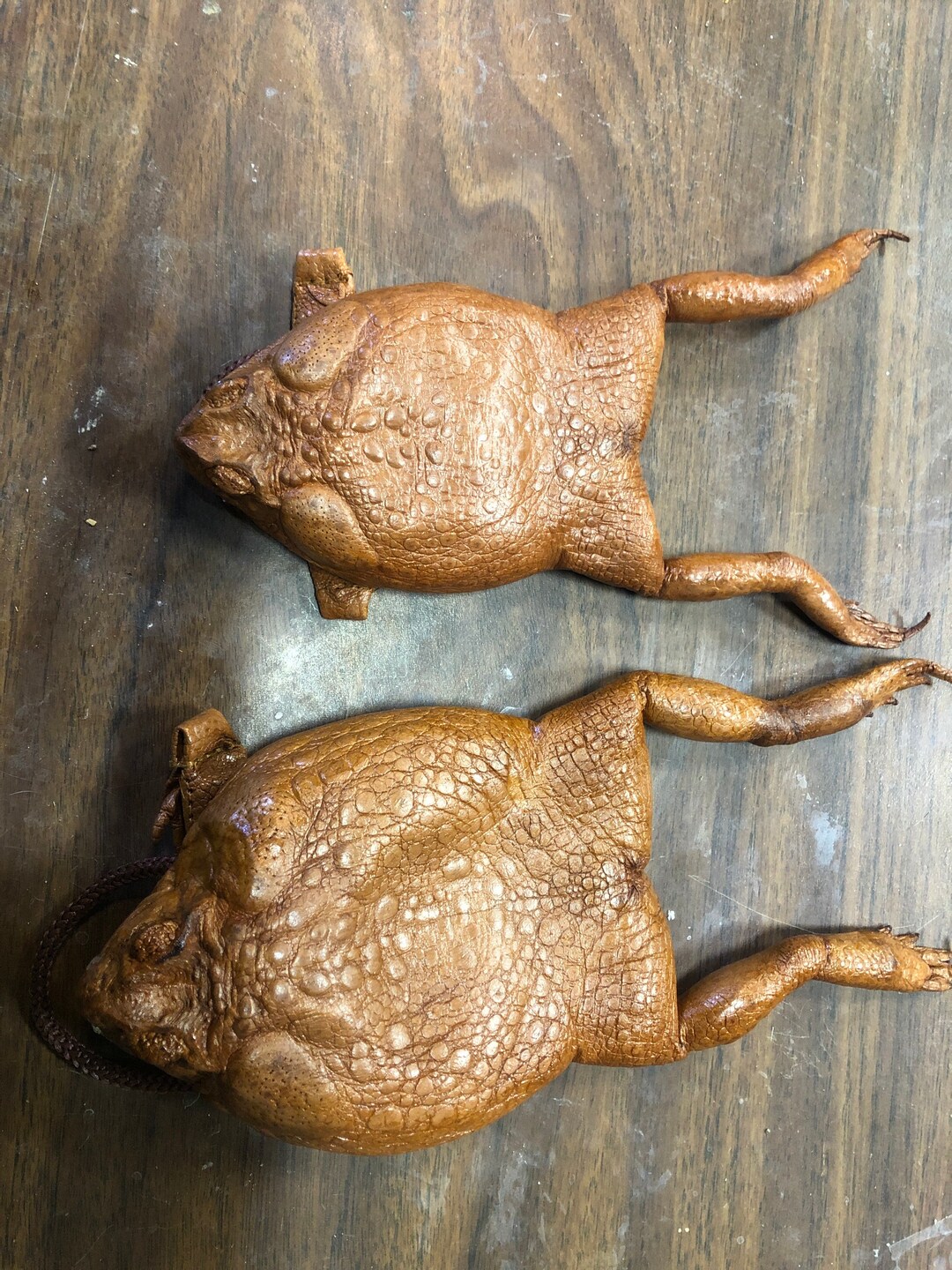 BIGGEST Cane Toad Purse Shoulder Bag - Etsy