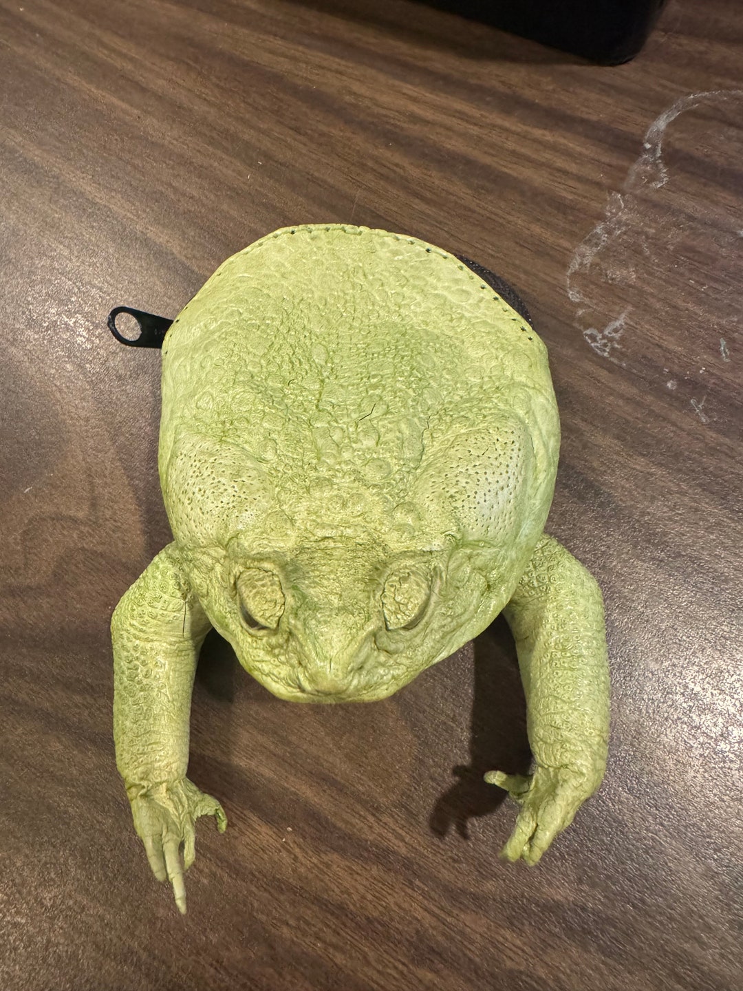 Cane Toad Coin Purse in Color Green - Etsy