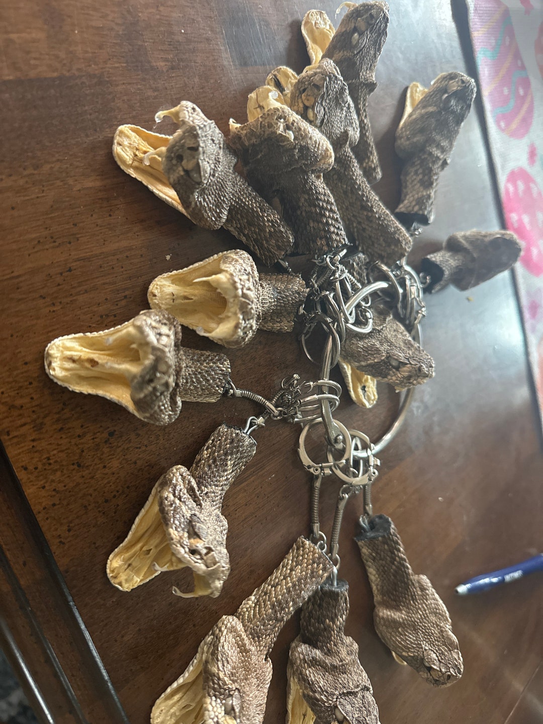 Rattlesnake Key Open Mouth One - Etsy