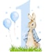 Peter the Rabbit PNG, Peter Rabbit Age 1 PNG, Instant Digital Download ...